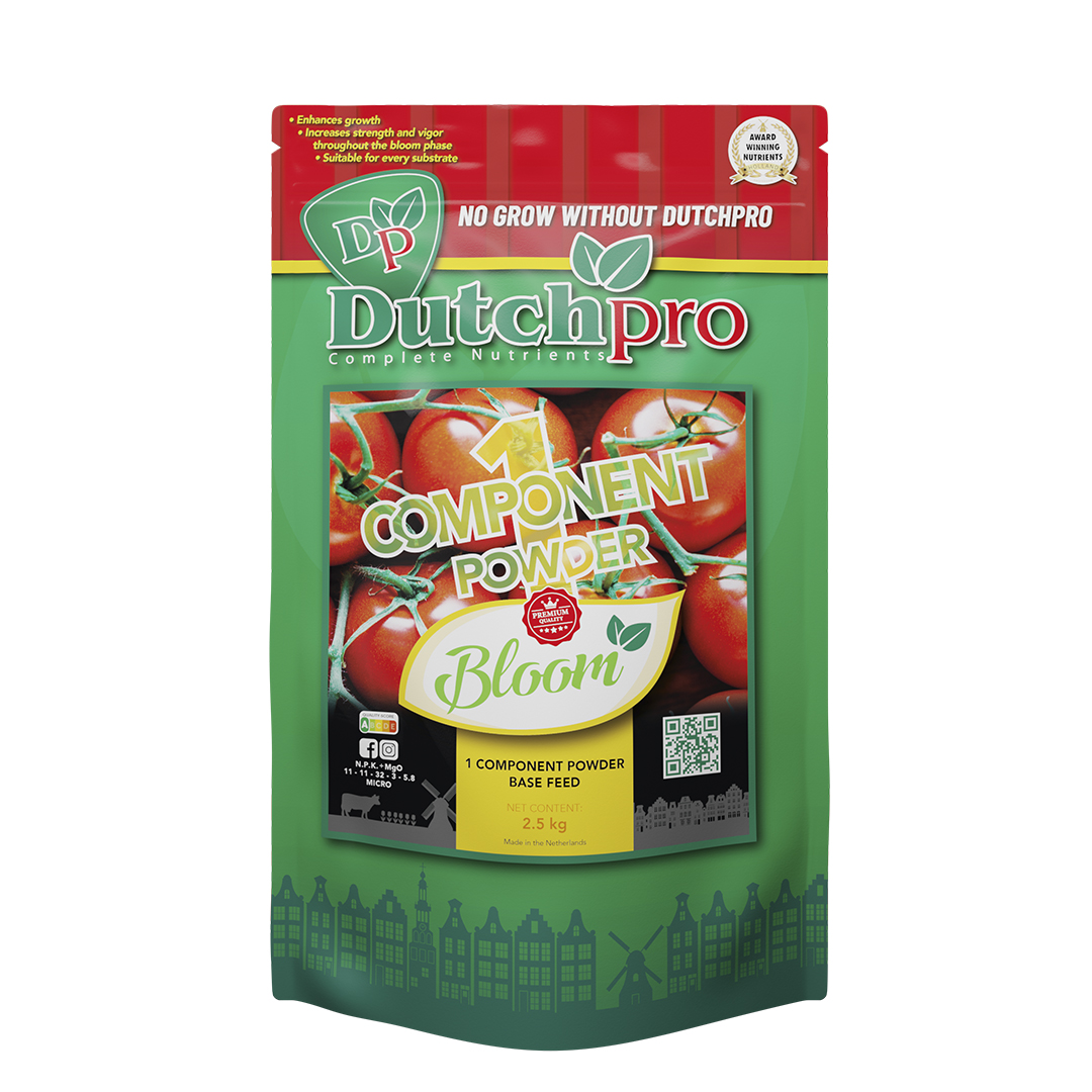 DutchPro
