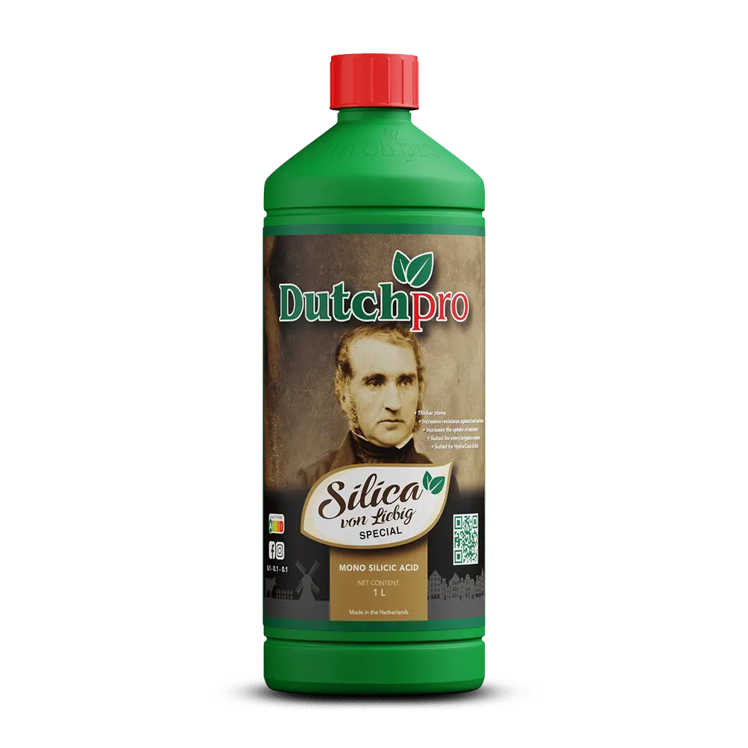 DutchPro